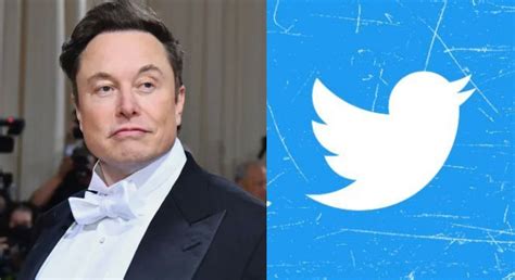 Twitter Is Now Unsafe From Trolling Under Elon Musk Insiders Reveal