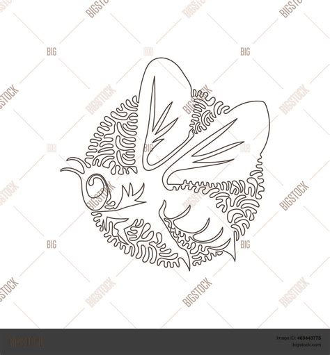 Continuous Curve One Vector And Photo Free Trial Bigstock