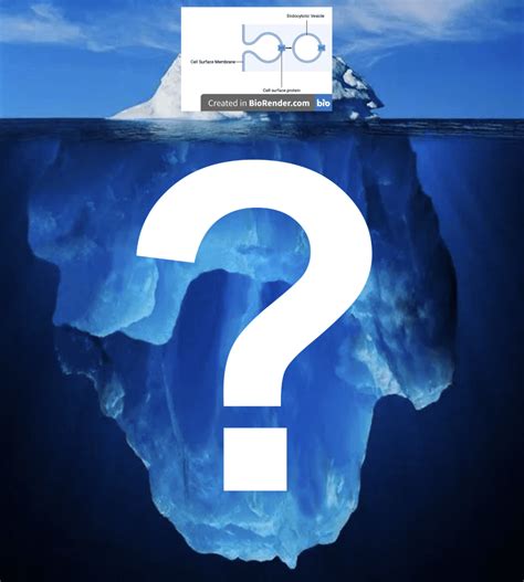 Behind The Scenes Of Endocytosis Endosomes Sorting Complexes And Disease