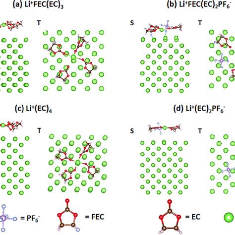 adsorption of optimized first solvation shell on li 1 0 0 surface