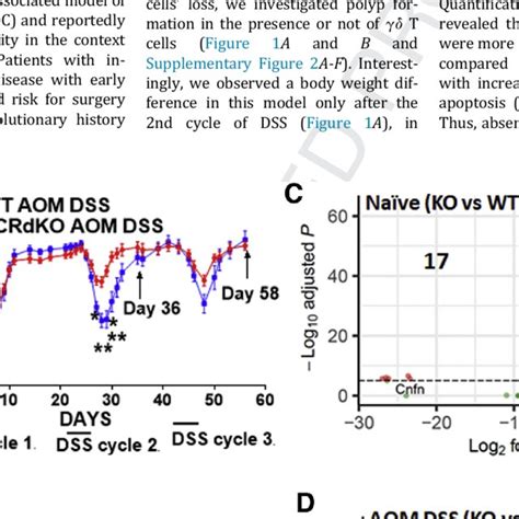Lack Of Gd T Cells Enhances Gut Pathology And Tumorigenesis In A