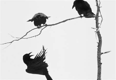 Twos Company The Eritrean Twins Shaping The Beauty Industry R Eritrea