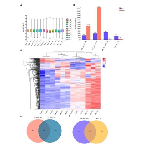 Analysis Of Identified Degs During Browning Of Fresh Cut Apple Fruits