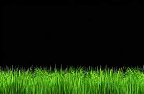Goodyear Black Lawn Images Free Download On Freepik