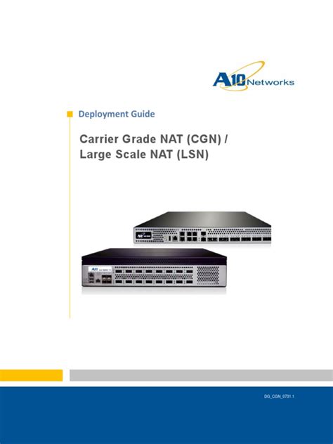 A10 Dg Carrier Grade Nat Cgn Large Scale Nat Lsn Pdf Pdf Router Computing Ip Address