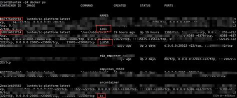 docker容器中获取宿主机任意信息 docker 设置某个镜像读取宿主机ip csdn博客
