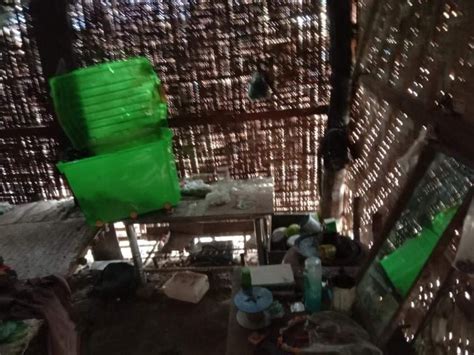 ခင်ဦးမြို့နယ်၊ တဲစုရွာကို စစ်တပ်က ဝင်ရောက်ပြီး ပြည်သူပိုင် ရွှေငွေပစ္စည်းများ ယူသွား