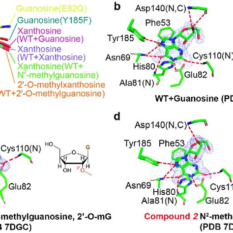 The Binding Modes Of Various Substrates A The Superimposition Of