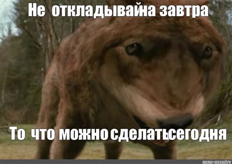 Мем: "Не откладывай на завтра То что можно сделать сегодня" - Все ...