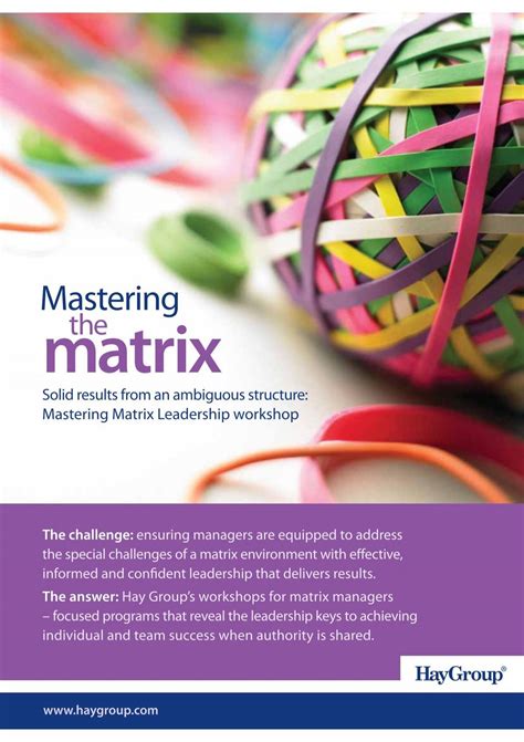 Mastering Matrix Leadership Hay Group