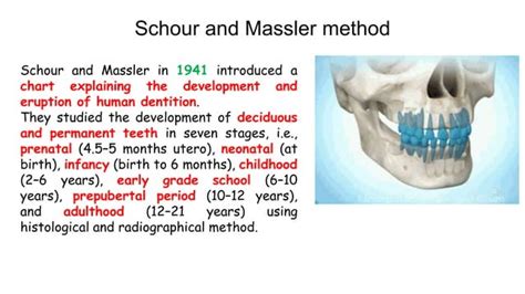 Msciii Forensic Anthropology Age Estimation Using Dentition Pptx