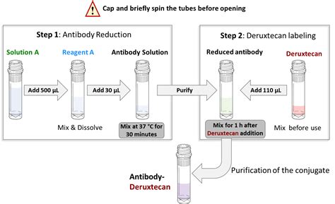 Antibody Deruxtecan Conjugation Kit