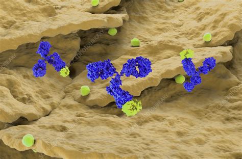 Monoclonal Antibody Therapy For Psoriasis Illustration Stock Image