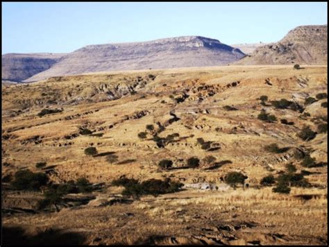 Severe Gully Erosion On An Estcourt Soil Form Located At Photo 4 In