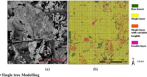 Figure 5 From A Lidar Point Cloud Based Procedure For Vertical Canopy