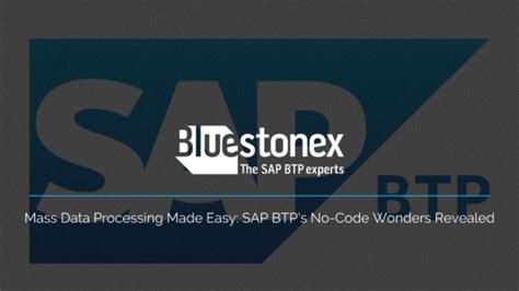 Sap Mass Data Processing Made Easy Webinar Bluestonex