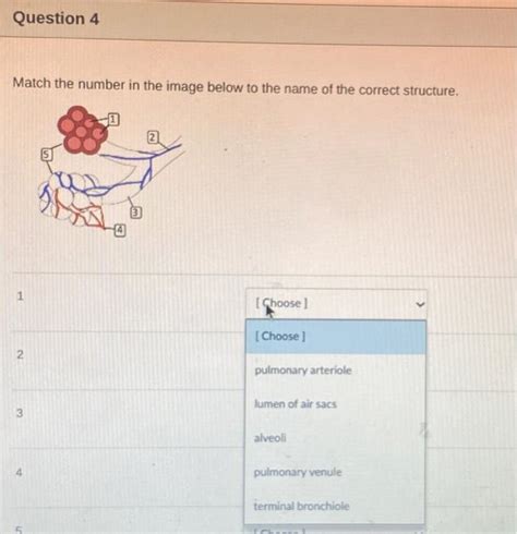 Solved Match The Number In The Image Below To The Name Of Chegg
