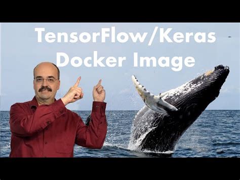 Tensorflow Docker Images Which One Should You Use Reason Town