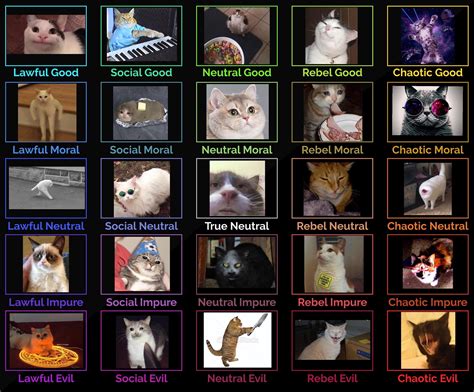 A Nonsensical 5x5 Cat Picture Alignment Chart Made By A Guy Who Doesnt Understand This Template