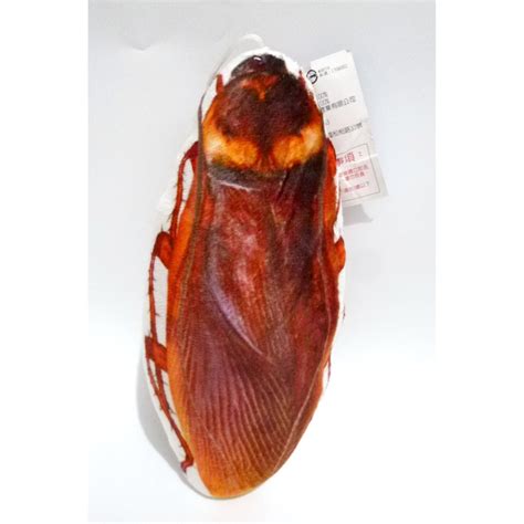 Jual Boneka Kecoa Original Korea Plush Doll Import Shopee Indonesia