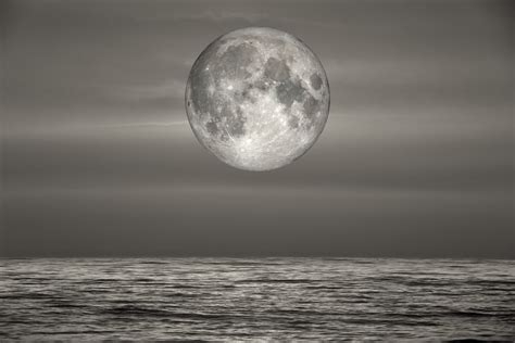 Michael Dunlap Southlight Gallery