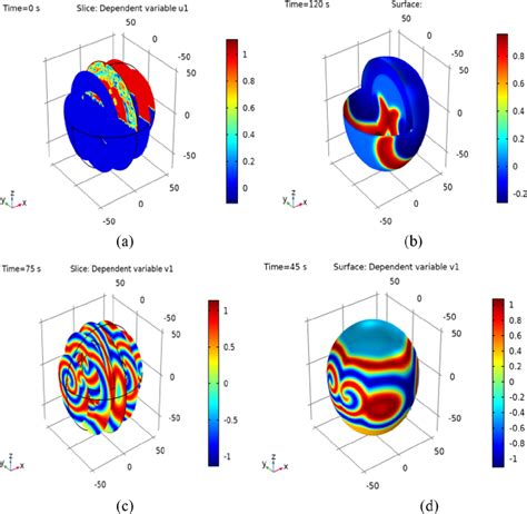 Figure 4 From Modeling And Simulation Of Cardio Electrical Activity For Ischemia Using Comsol