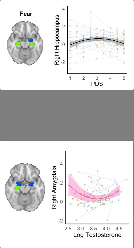 PDS-related quadratic changes in left amygdala and bilateral... | Download Scientific Diagram