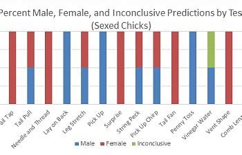 An Experiment In Chick Sexing Methods BackYard Chickens