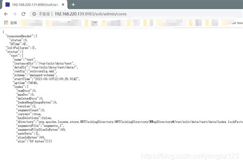 Apache Solr漏洞总结(比较全面的哦) Csdn博客 Apache Solr漏洞总结(比较全面的哦) Csdn博客