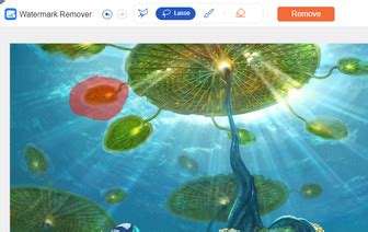 Image Watermark Remover Delete Watermark From Photos Online