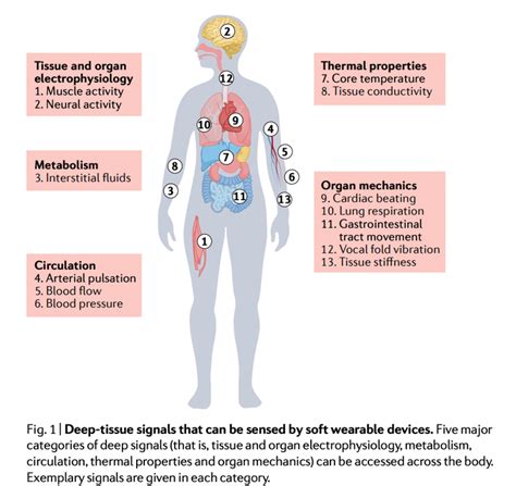 哪些智能设备能够实时监测人体健康？ 知乎
