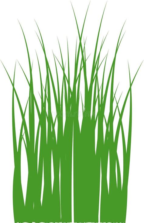Grass Silhouette Seamless Pattern Green Grass Meadow Border Vector Grass Silhouette Seamless Pattern Green Grass Meadow Border Vector