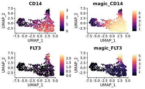 trajectory and pseudotime analysis seuratextend