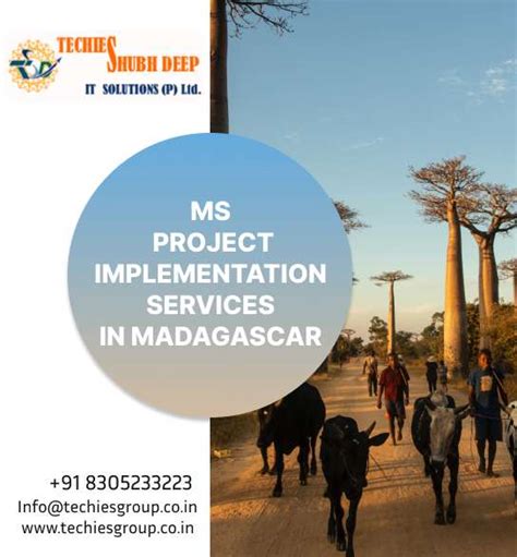 Best Ms Project Implements Services In Madagascar
