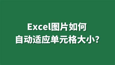 Excel图片如何自动适应单元格大小？ 知乎
