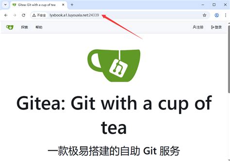 本地部署代码托管解决方案 gitea 并实现外部访问 知乎