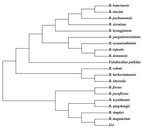 Phylogenetic Relationship Of Arsenate Reducing Bacteria I 34 With