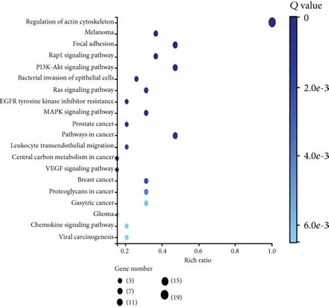 Rna Sequencing And The Verification Of The Qrt Pcr Results A Volcano