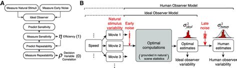 plan for manuscript and ideal observer a plan for the manuscript