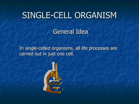 Single Celled Organism Ppt