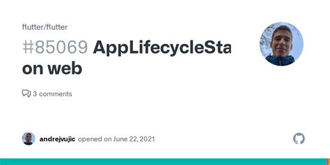AppLifecycleState On Web Issue Flutter Flutter GitHub