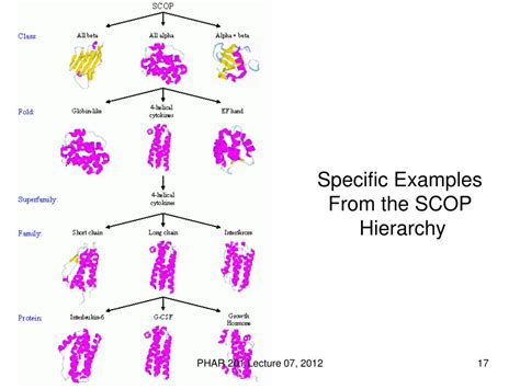 Ppt Understanding Sequence Structure And Function Relationships And The Resulting Redundancy
