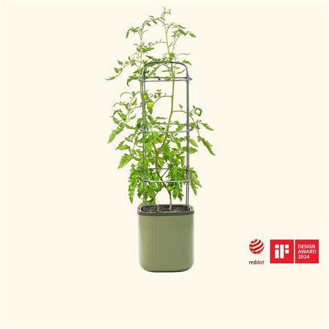 Self Watering Tomato Planter With Cage