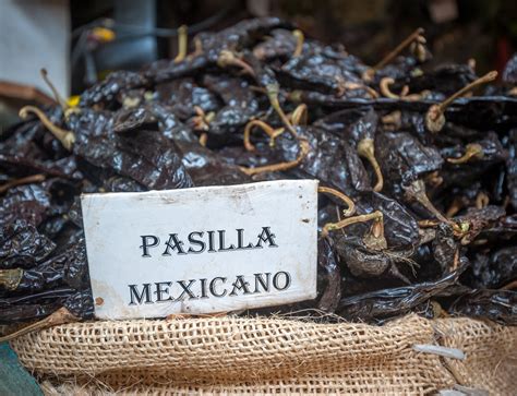 Pasilla Bajio Information How To Grow Pasilla Peppers In The Garden