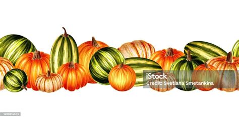 형형색색의 가을 호박의 매끄러운 테두리 흰색으로 분리된 수채화 기법으로 손으로 그린 마커 그림 10월에 대한 스톡 벡터 아트 및 기타 이미지 Istock