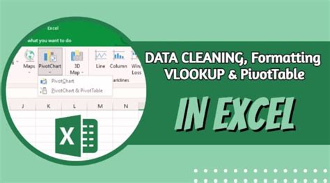 do data cleaning formatting pivot table and vlookup by vishnu pk
