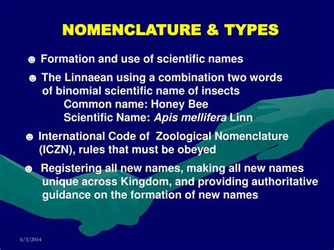 PPT PRINCIPLES OF TAXONOMY PowerPoint Presentation Free Download ID