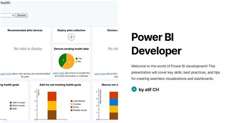 Power BI Developer