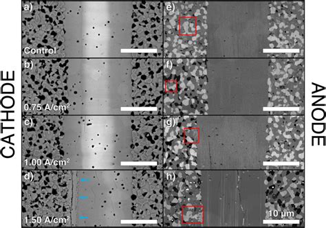 A Method For Time Resolved Characterization Of Polarization Induced