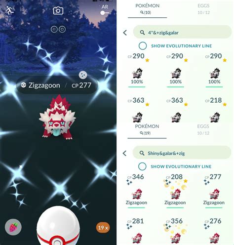 Shiny Zigzagoon Pokemon X